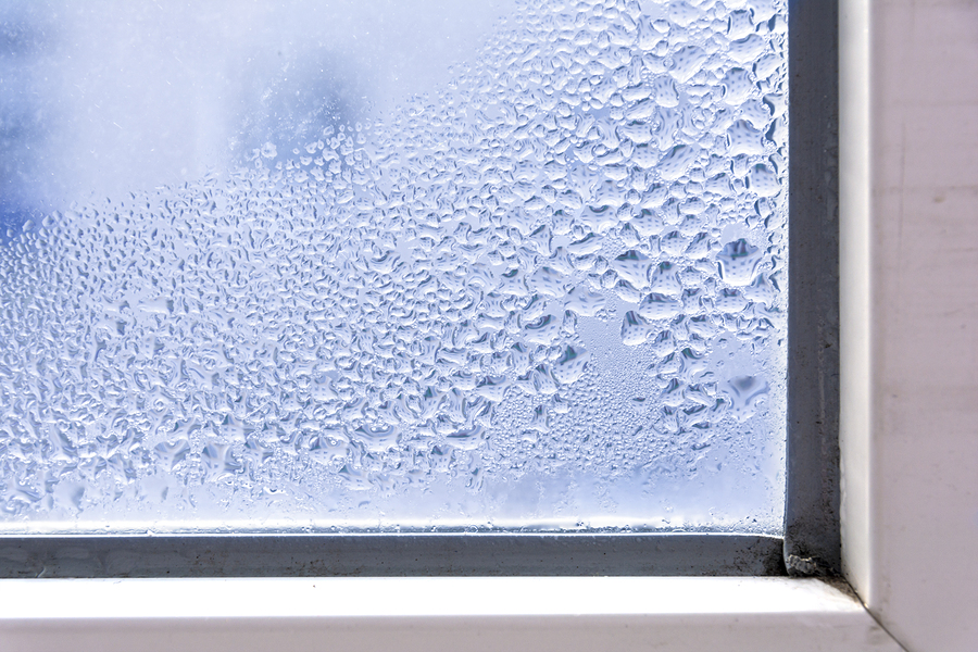 Condensation On Window